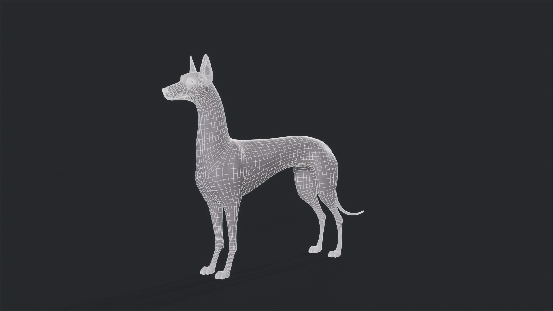 Hound 3D Model - TurboSquid 2421131
