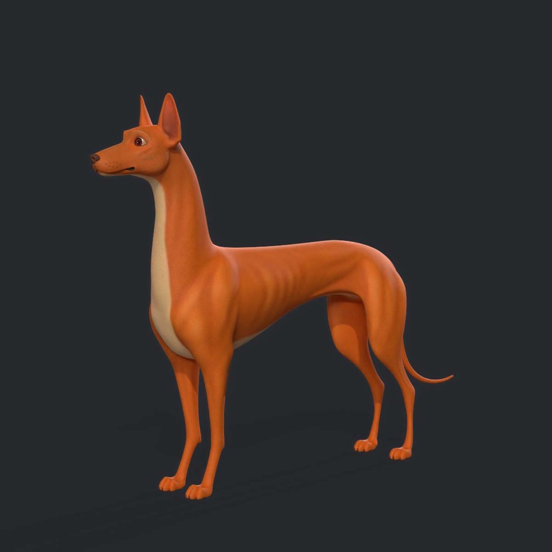 Hound 3D Model - TurboSquid 2421131