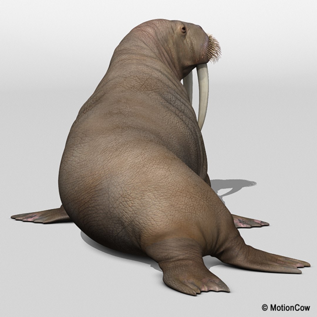 Realistic Rigged Max