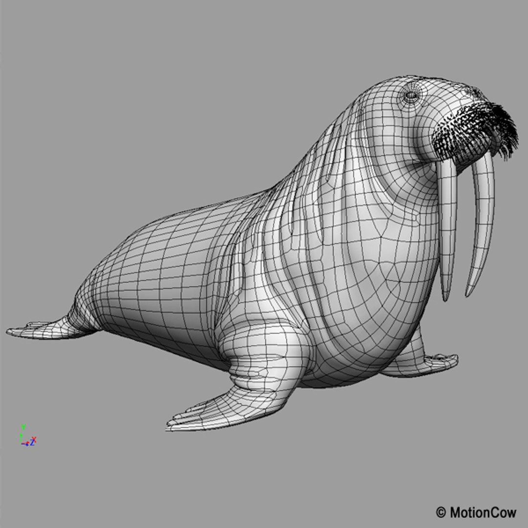 Realistic Rigged Max