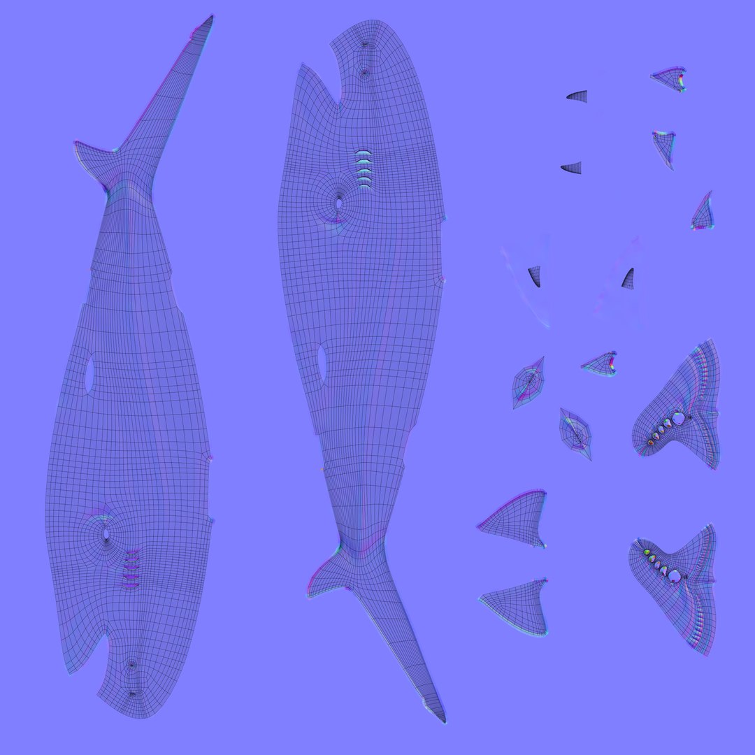 3D Dusky Shark Model - TurboSquid 2126968