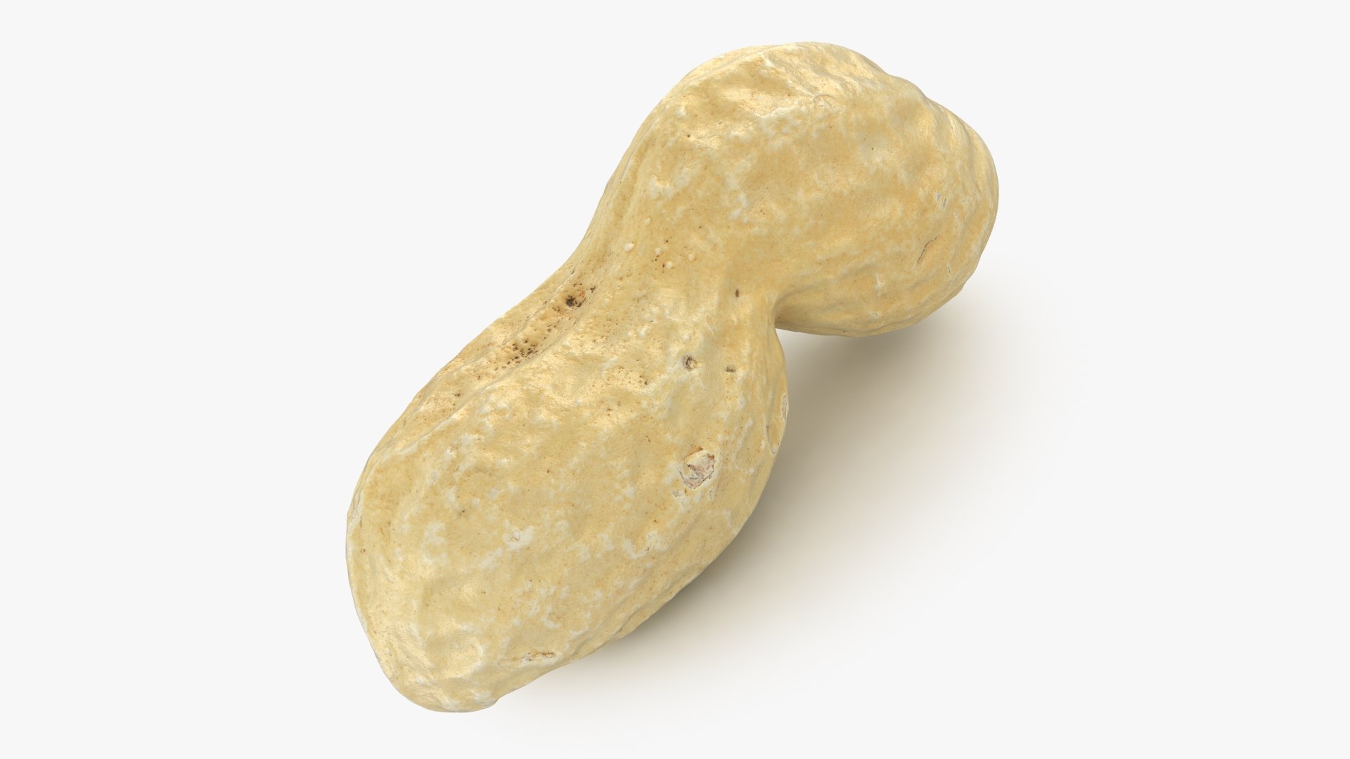 Peanut Shell 01 3D Model - TurboSquid 1955286