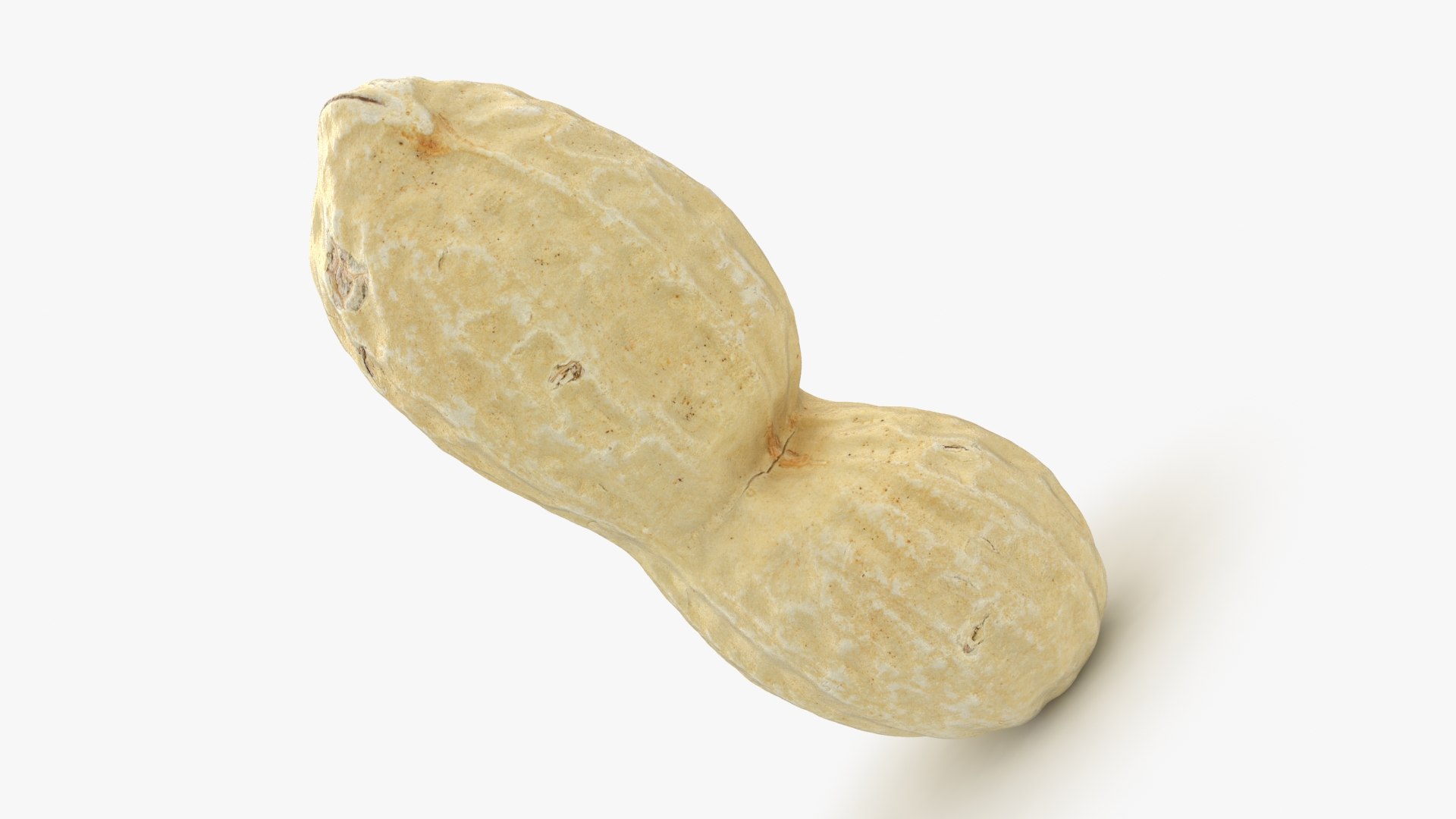 Peanut Shell 01 3D Model - TurboSquid 1955286