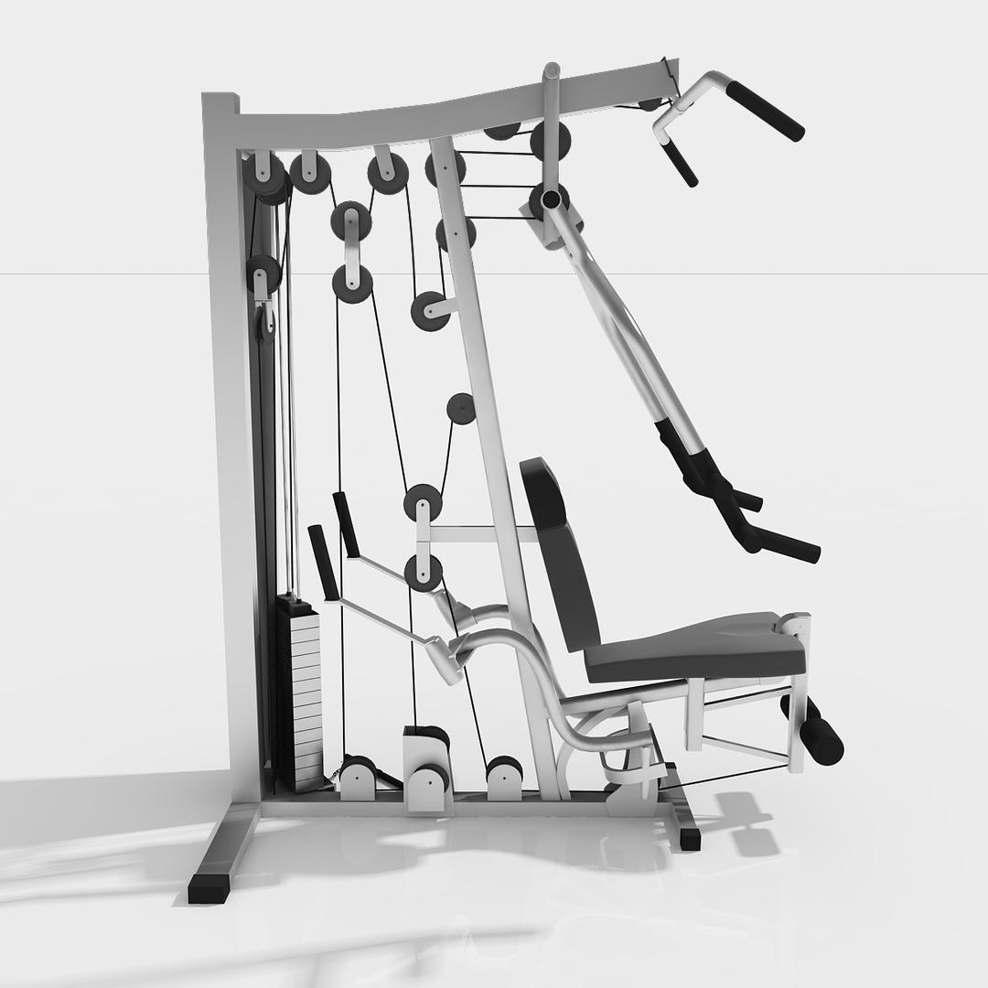 Multigym Excercise Gym 3d Max