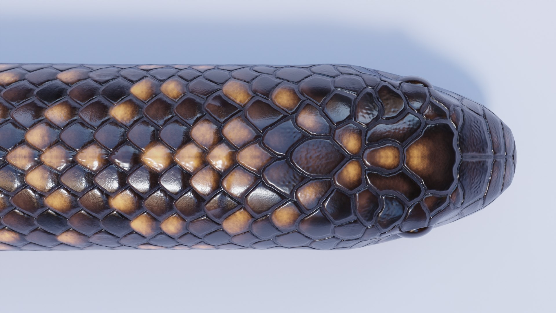 3D Model Animated Calabar Python - TurboSquid 1950262