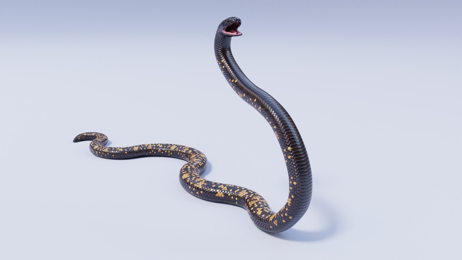 3D Model Animated Calabar Python - TurboSquid 1950262