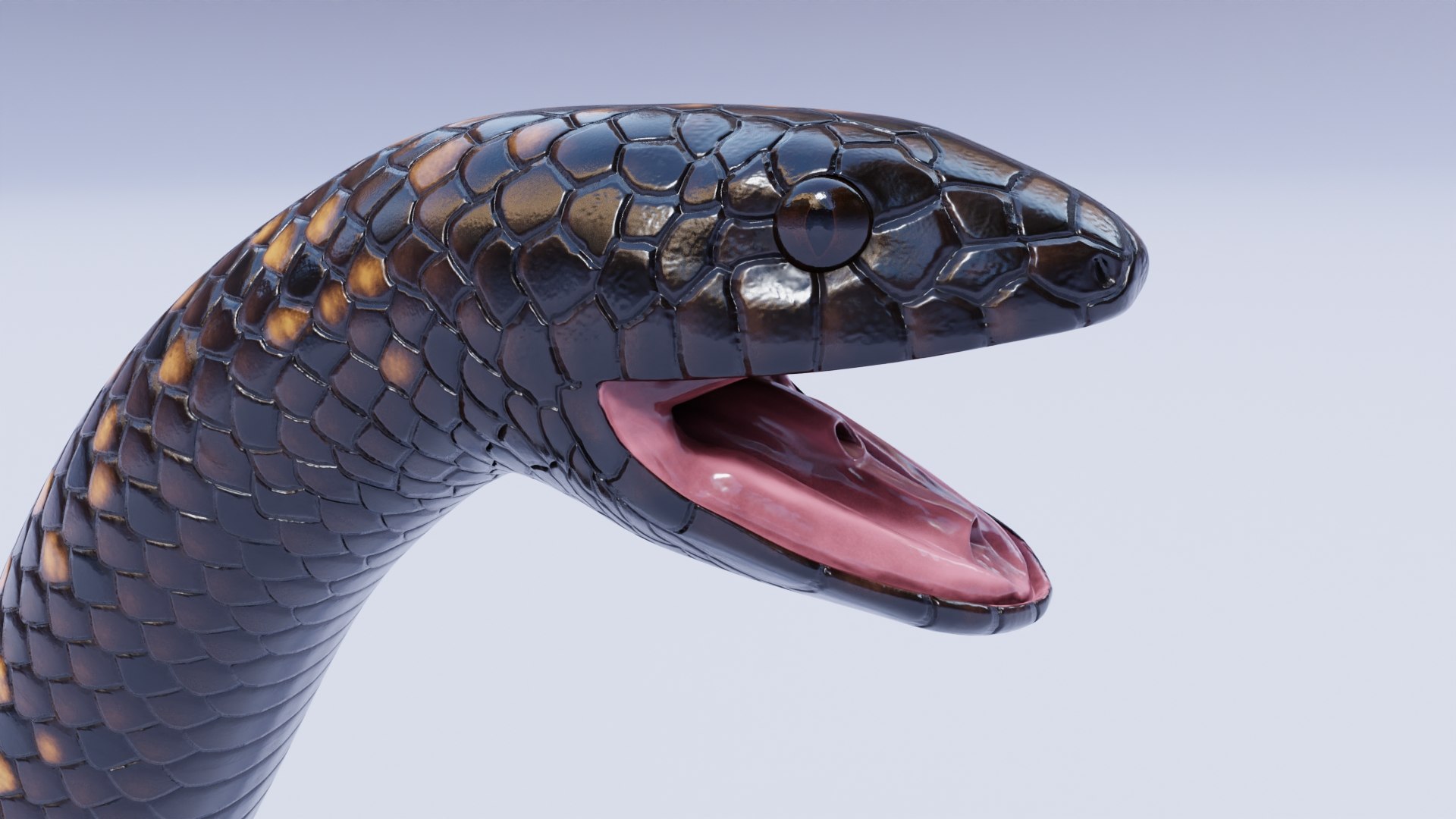 3D Model Animated Calabar Python - TurboSquid 1950262