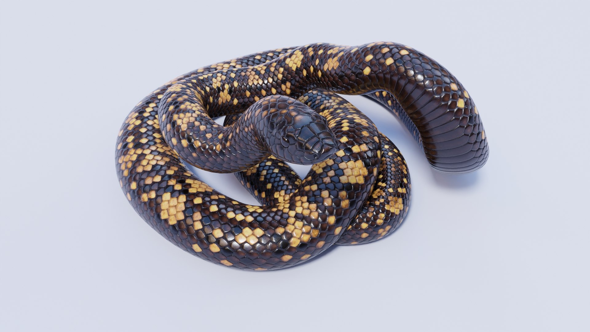 3D Model Animated Calabar Python - TurboSquid 1950262