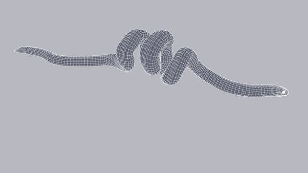 modelo 3d Pitón de Calabar animado - TurboSquid 1950262