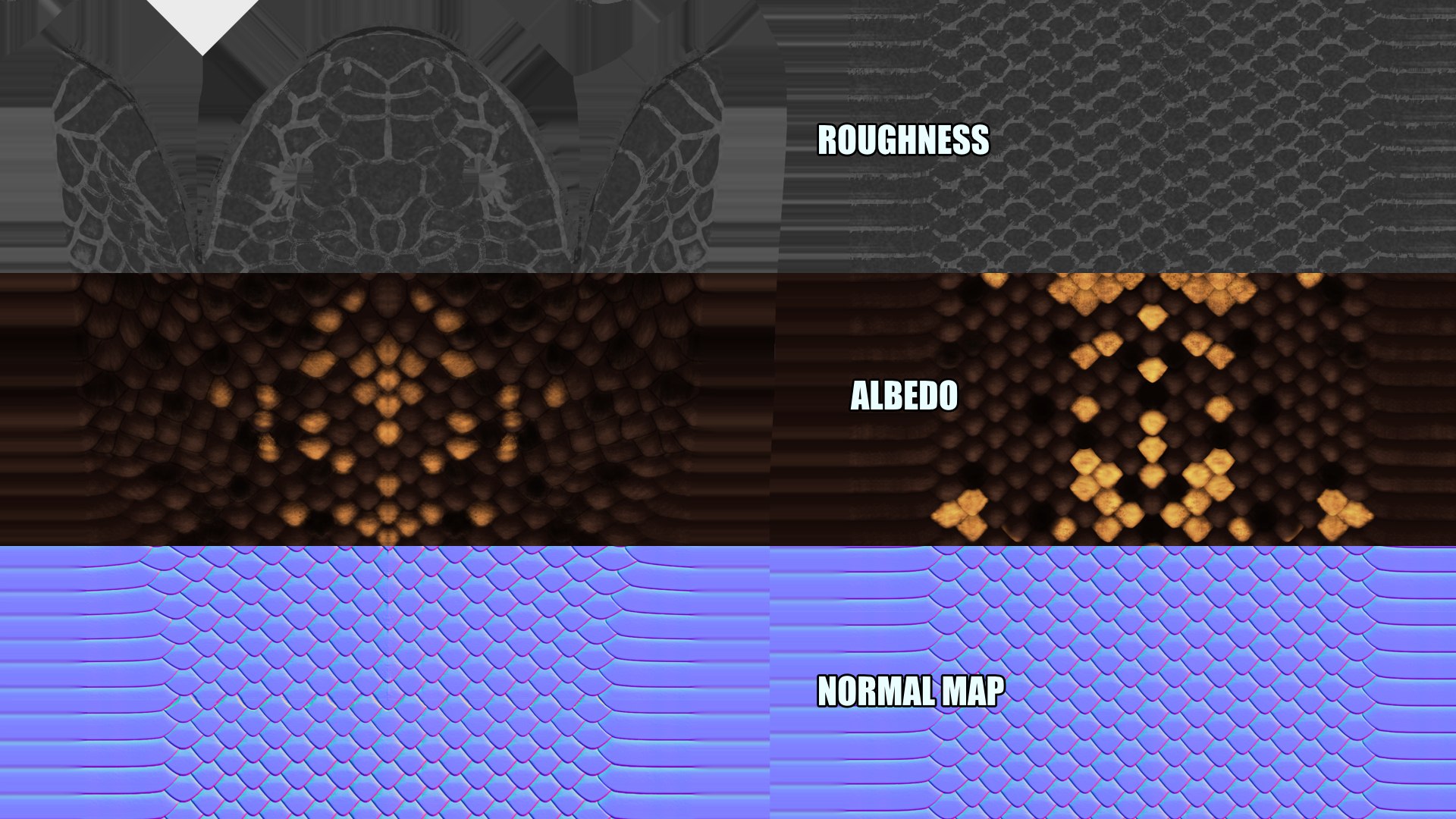 3D Model Animated Calabar Python - TurboSquid 1950262