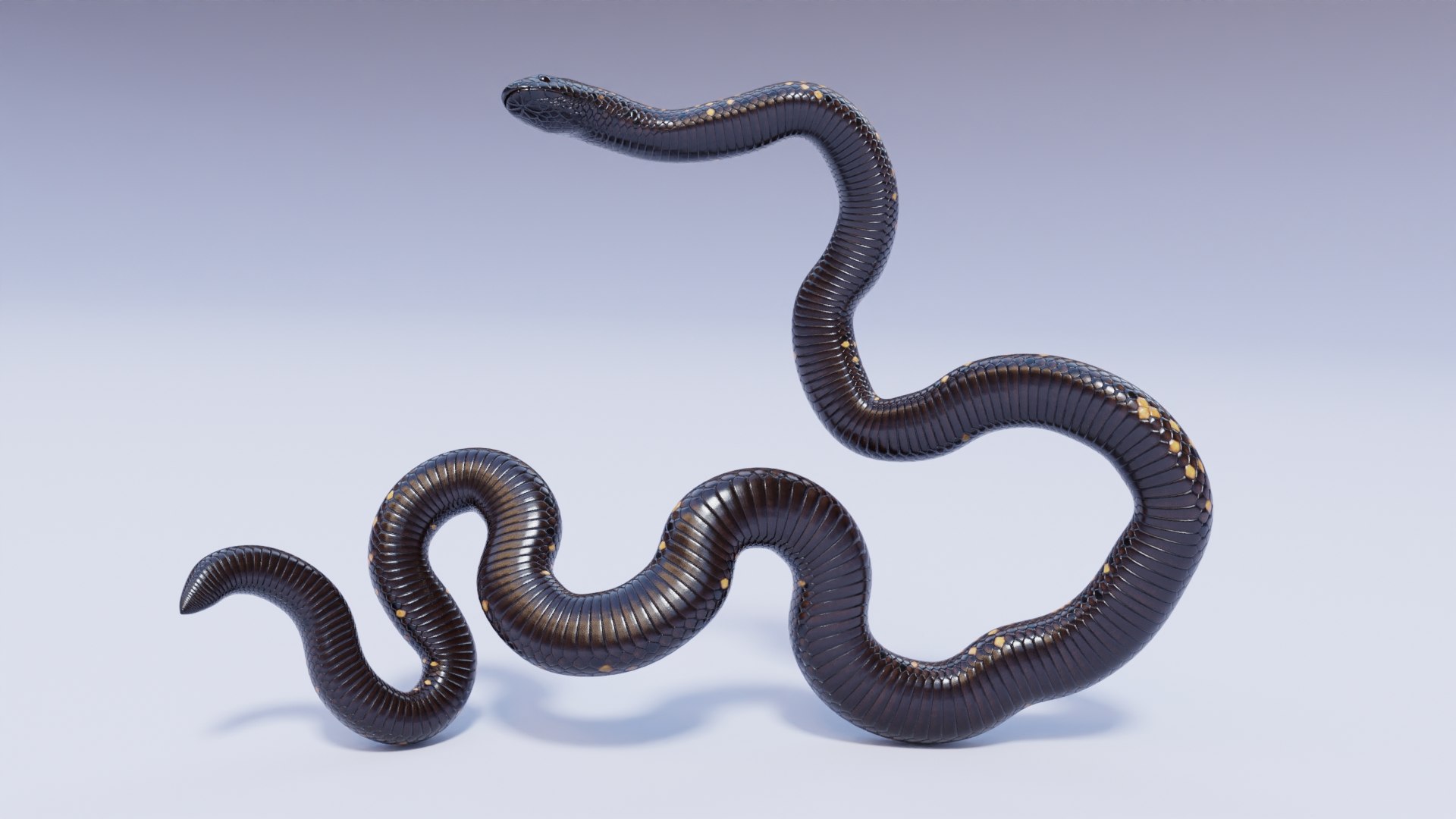 3D Model Animated Calabar Python - TurboSquid 1950262
