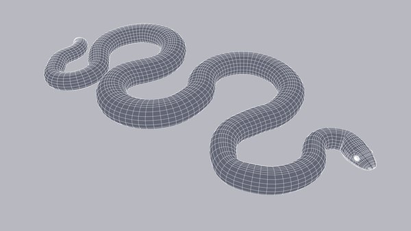 modelo 3d Pitón de Calabar animado - TurboSquid 1950262