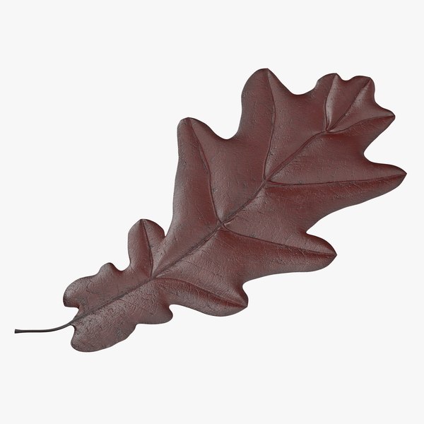 max red oak leaf