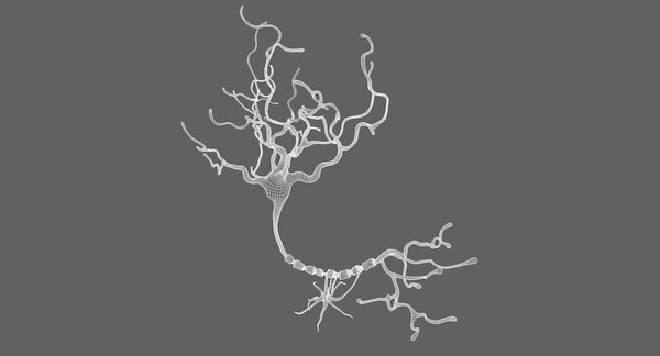 neuron cell 3d model