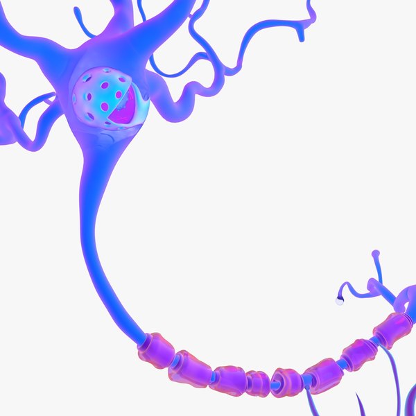 neuron cell 3d model