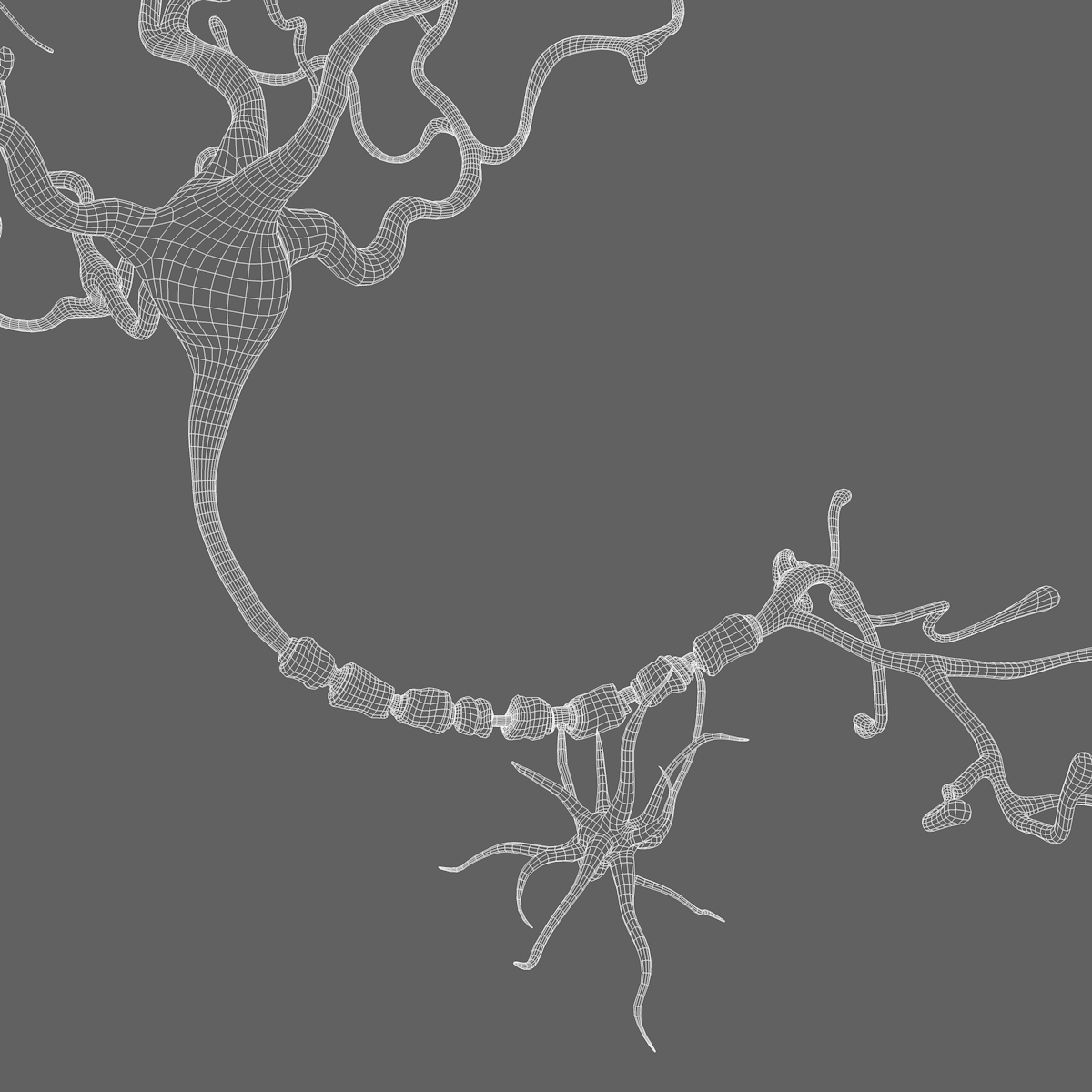 neuron cell 3d model