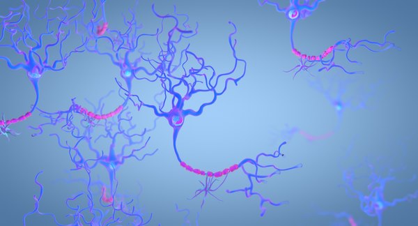 neuron cell 3d model