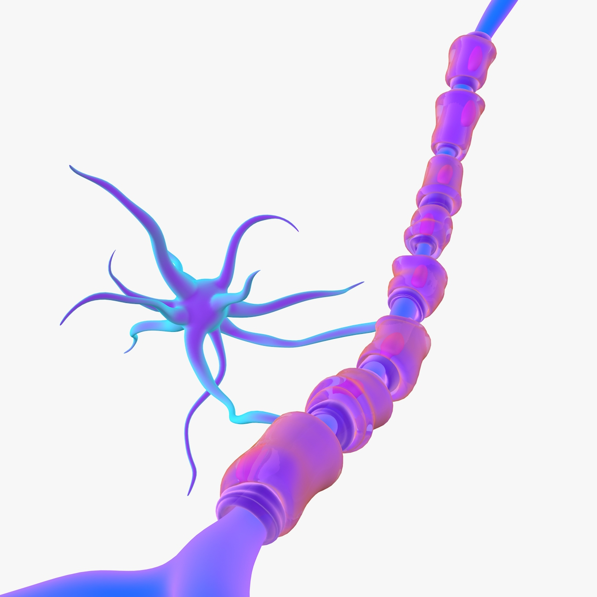 neuron cell 3d model