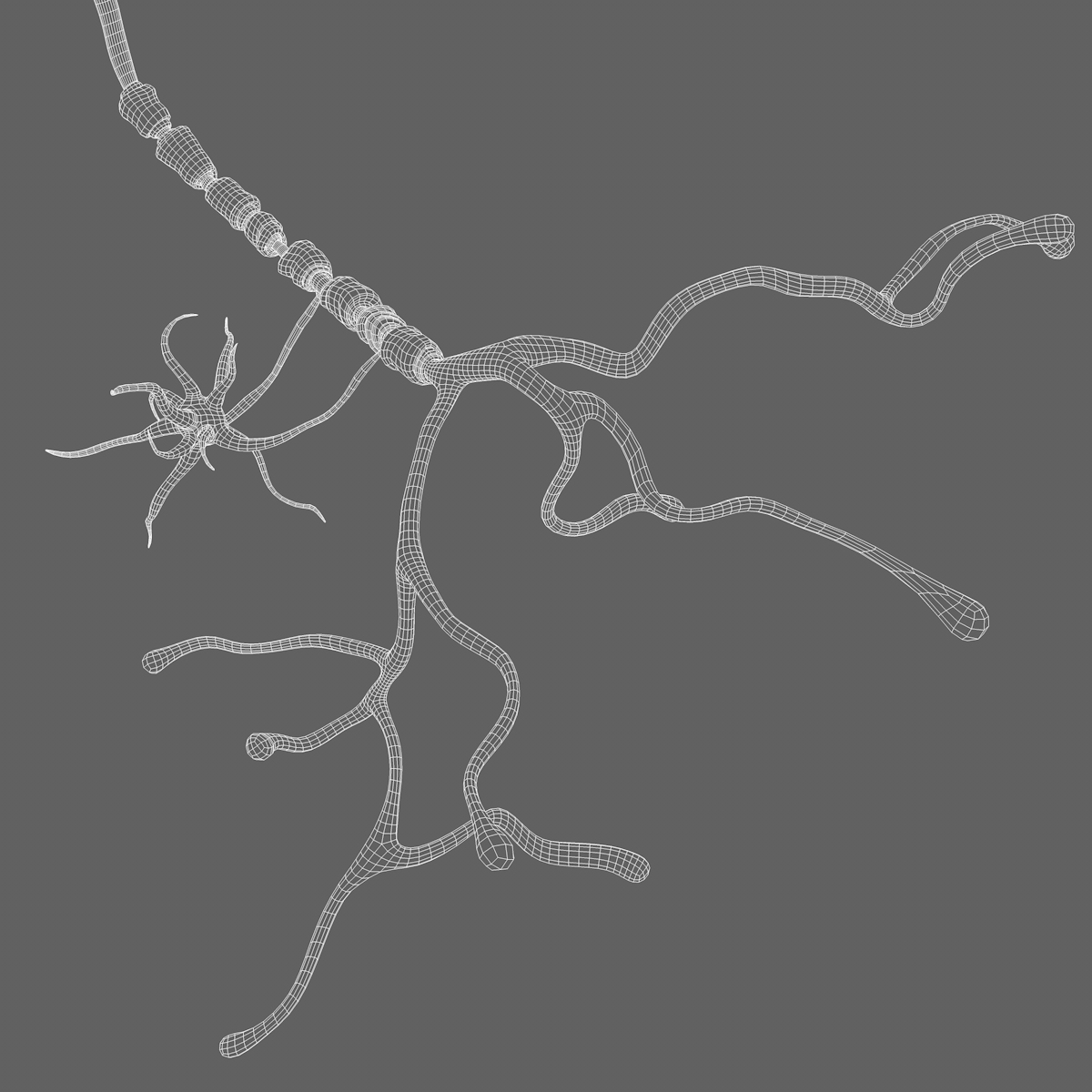 neuron cell 3d model
