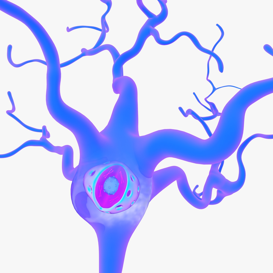 neuron cell 3d model