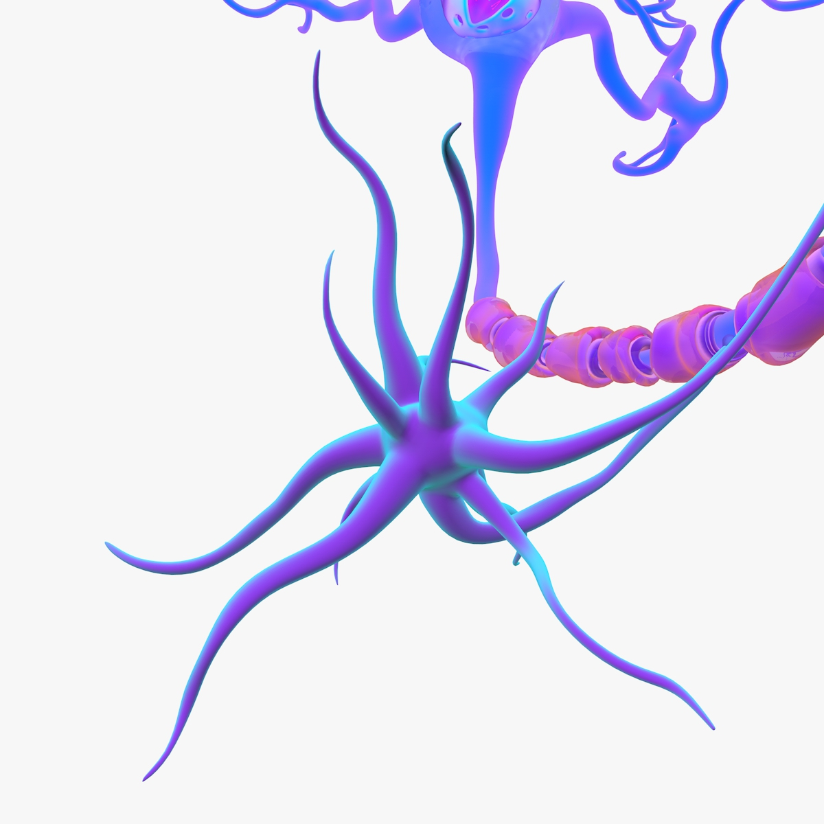 neuron cell 3d model