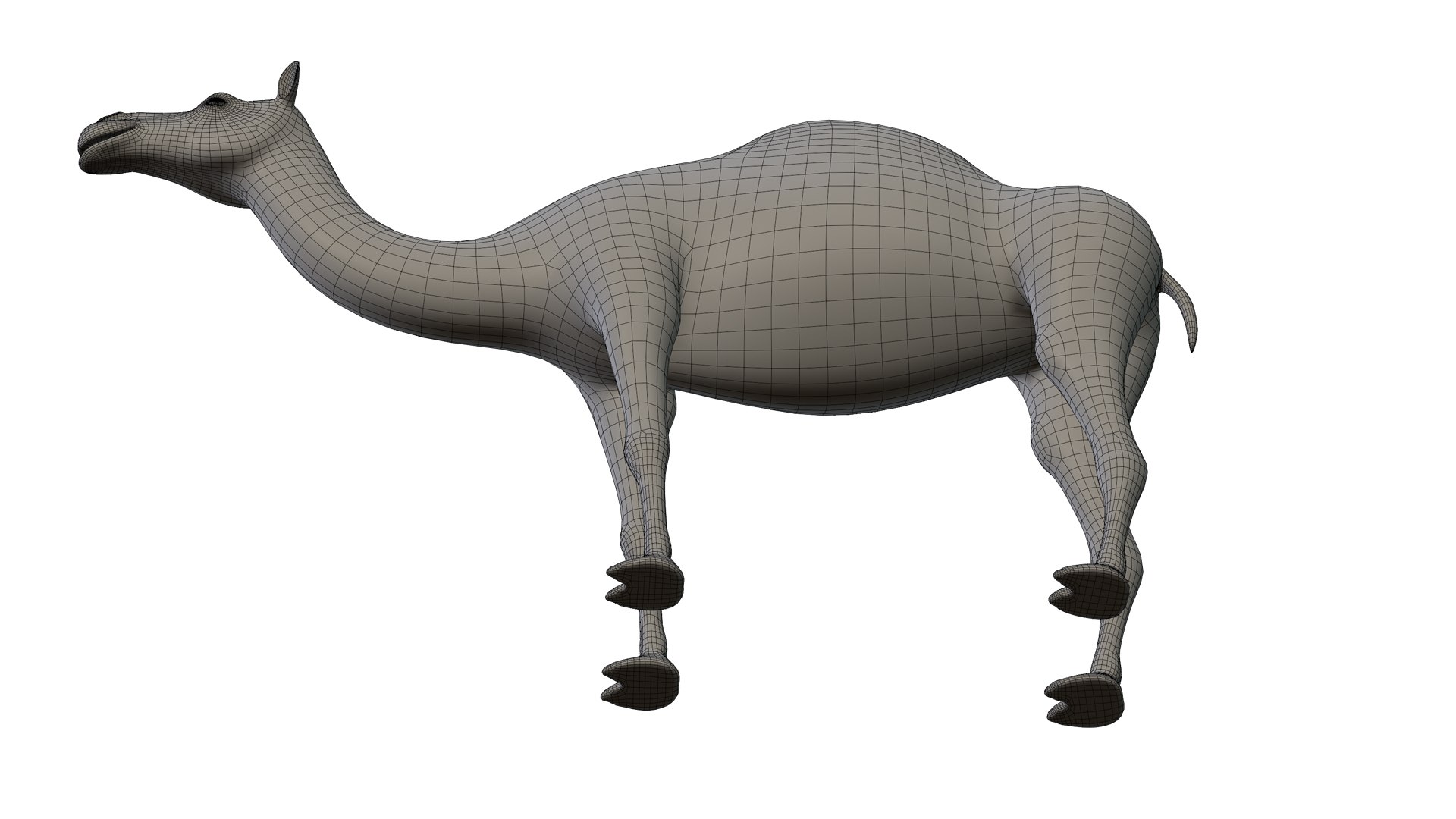 Camel 3d Model 3D Model - TurboSquid 2239764