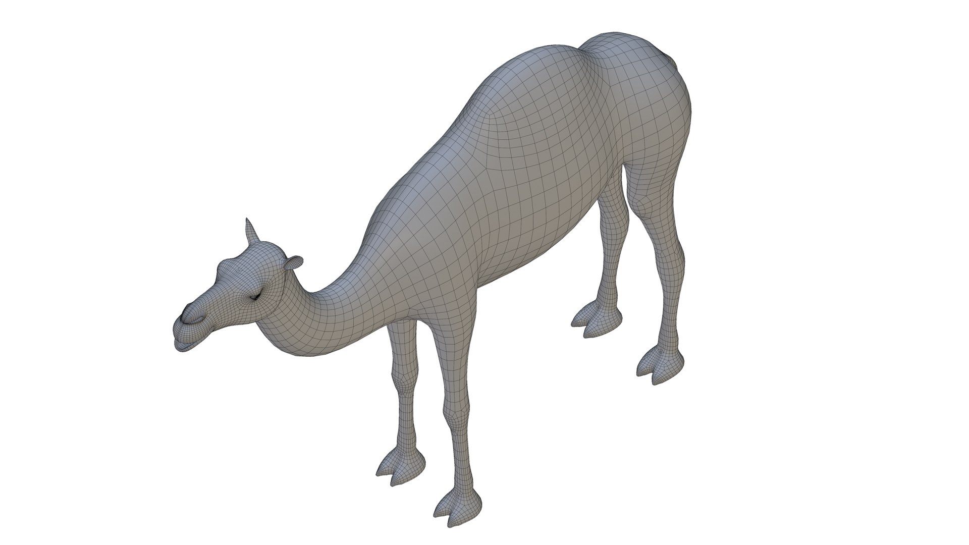 Camel 3d Model 3D Model - TurboSquid 2239764