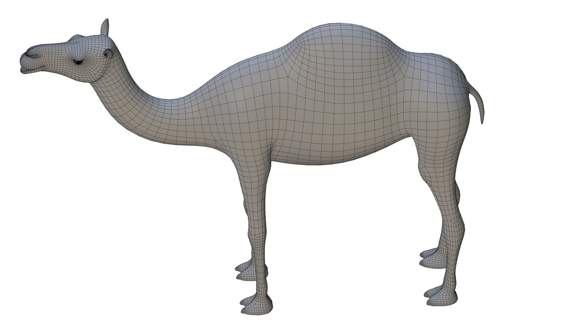Camel 3d Model 3D Model - TurboSquid 2239764