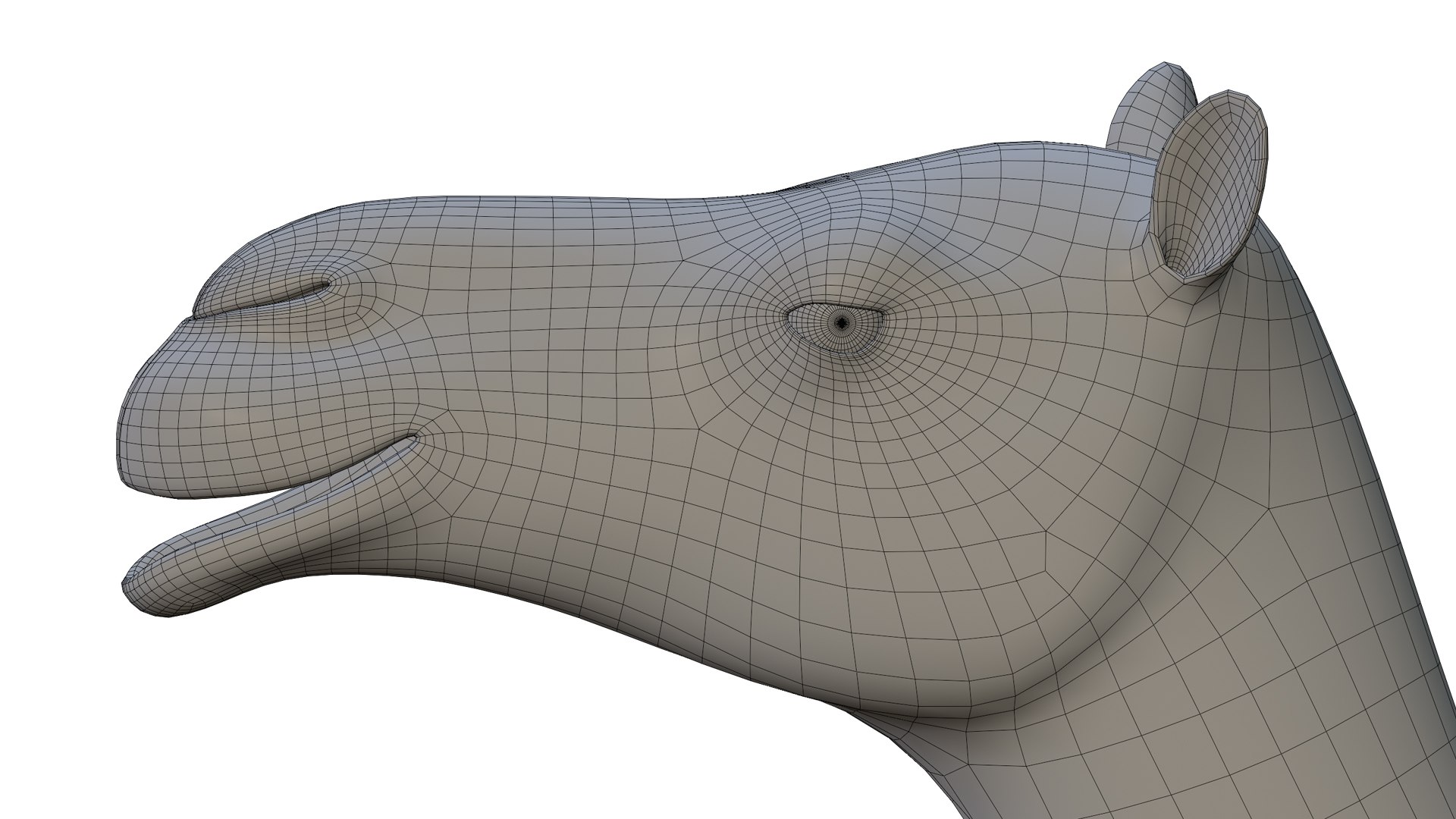 Camel 3d Model 3D Model - TurboSquid 2239764