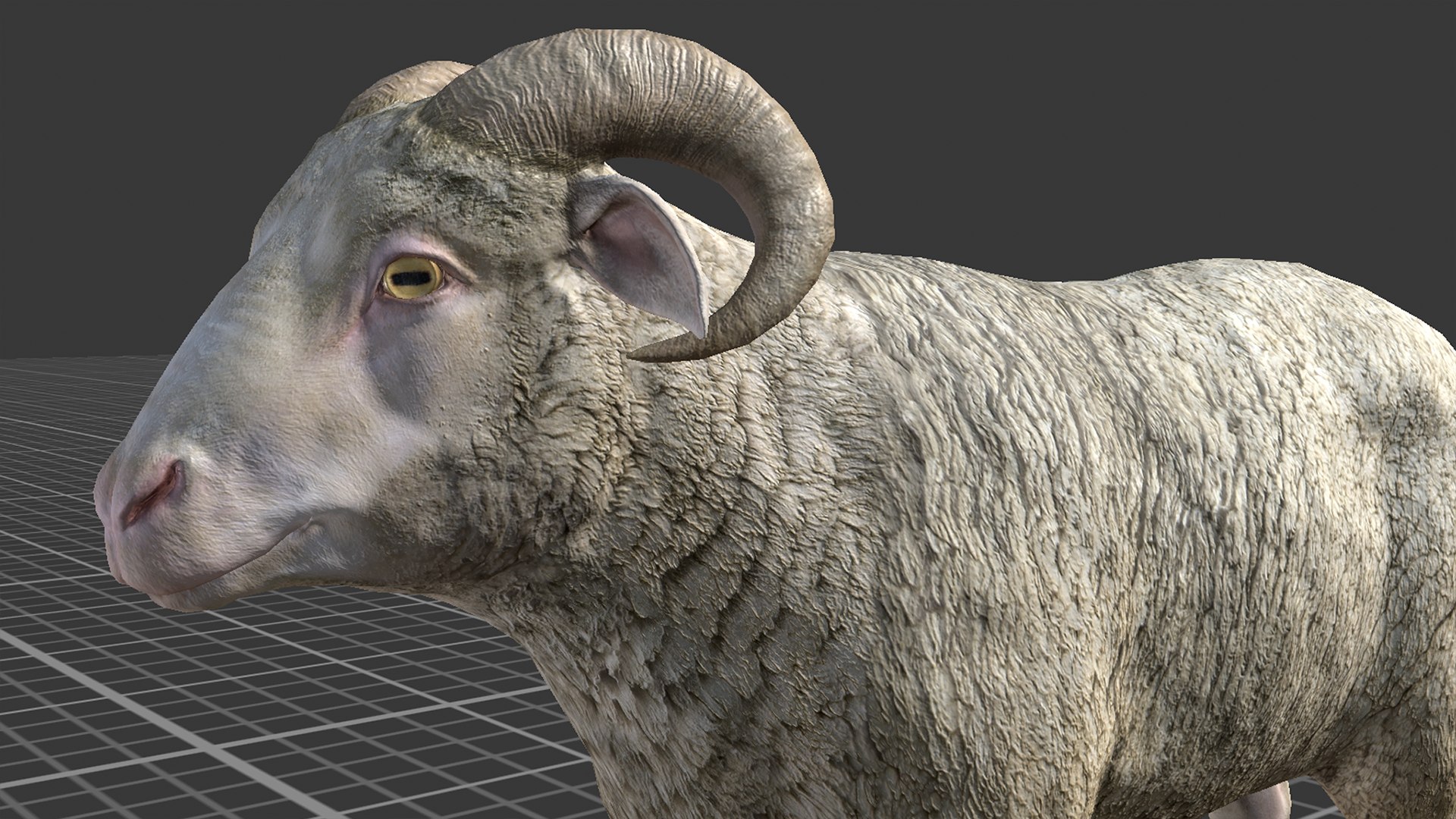 Ram Model - TurboSquid 1938275