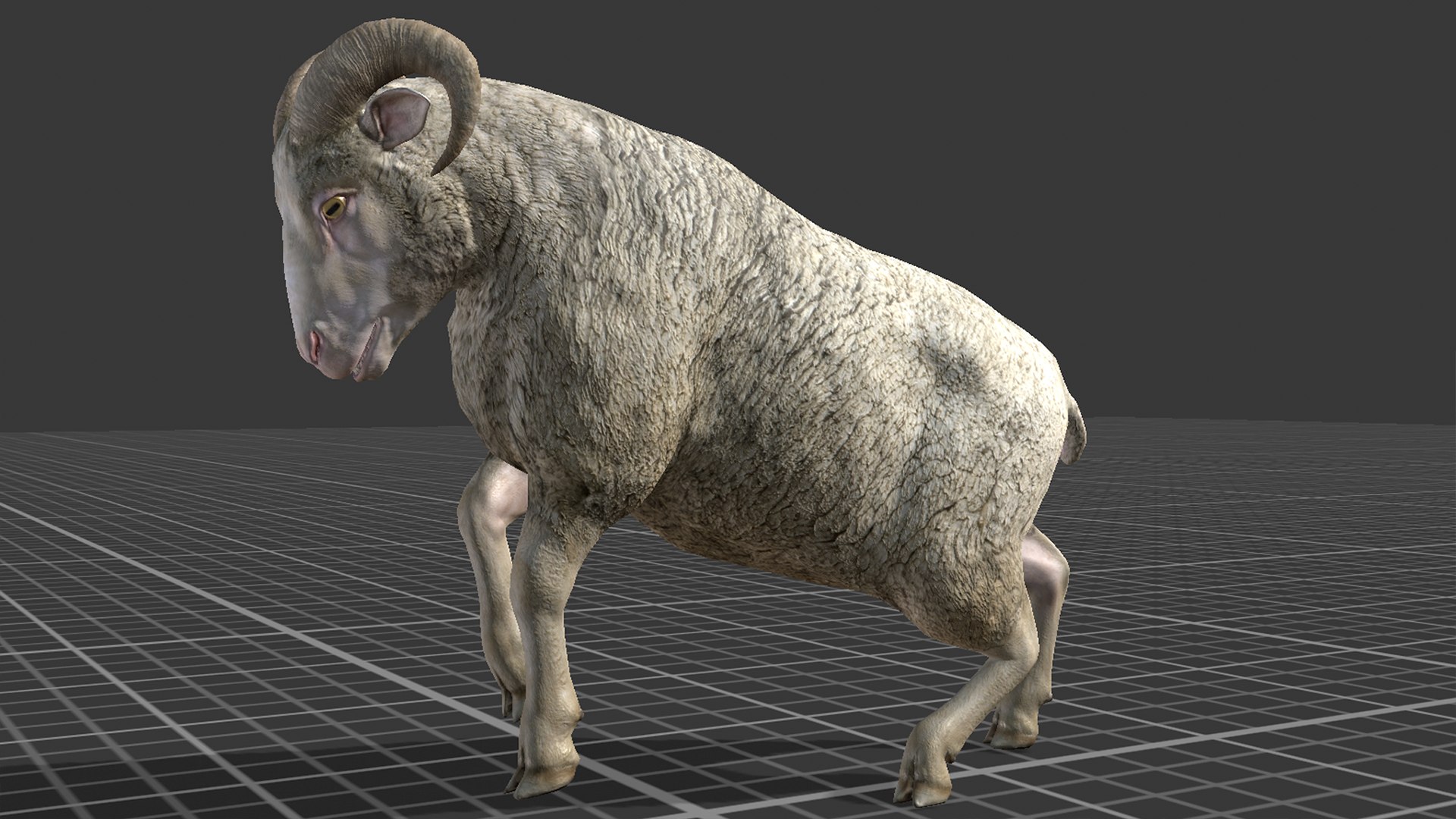 Ram Model - TurboSquid 1938275