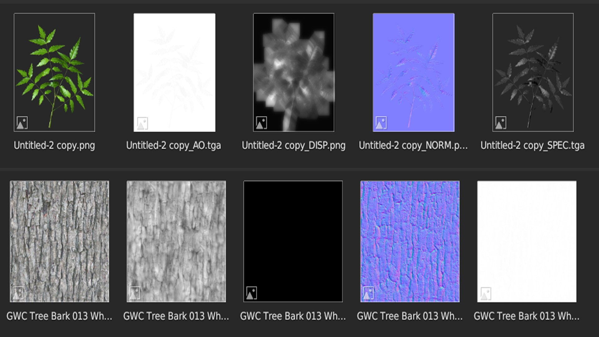 Neem Tree Model - TurboSquid 2075519