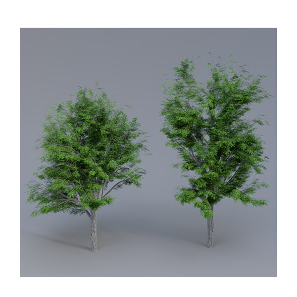 modelo 3d Árbol de neem - TurboSquid 2075519