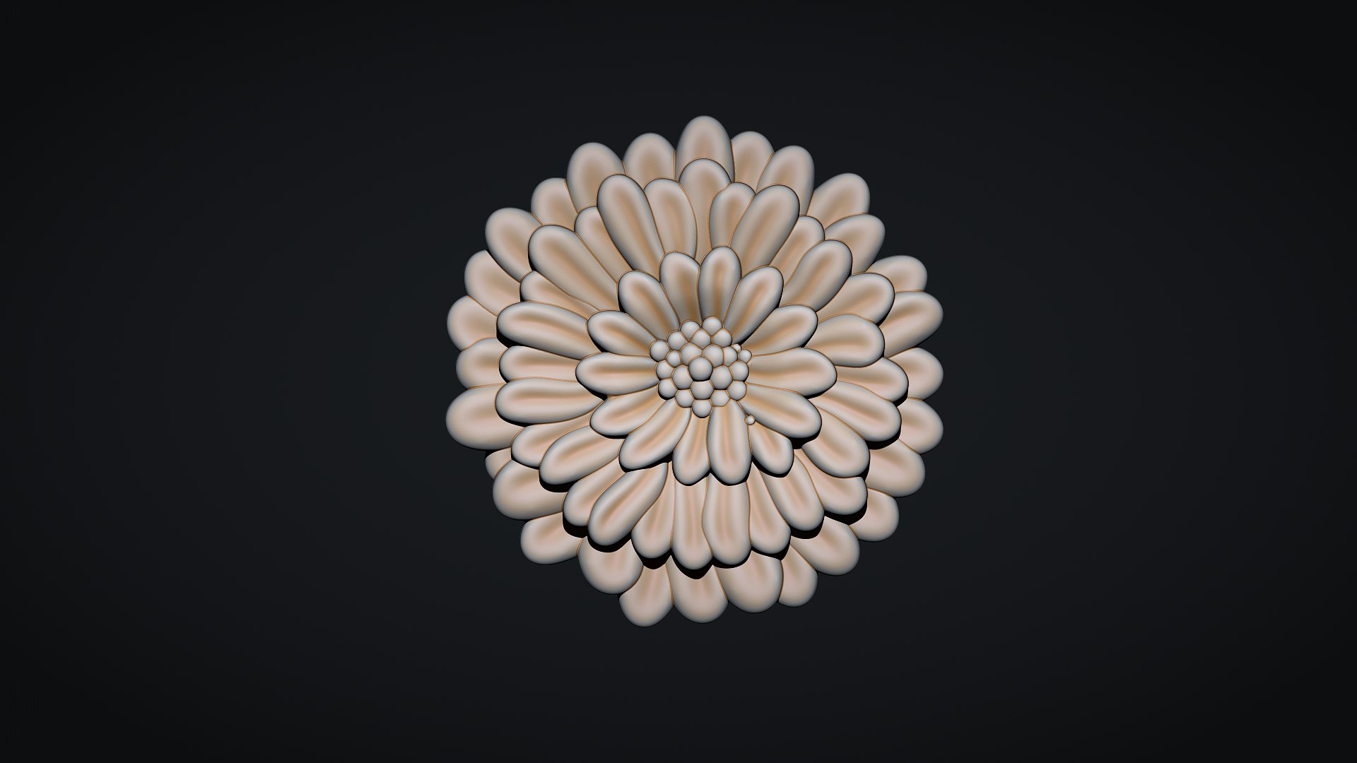 3D Model Zinnia Flower Bas Relief - TurboSquid 2367238