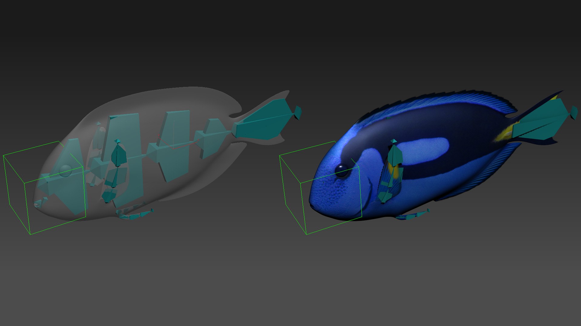 3D Blue Tang Rigged Model - TurboSquid 1503712