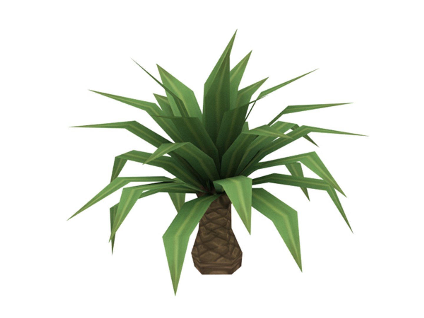 Palm Tree 3d Lwo