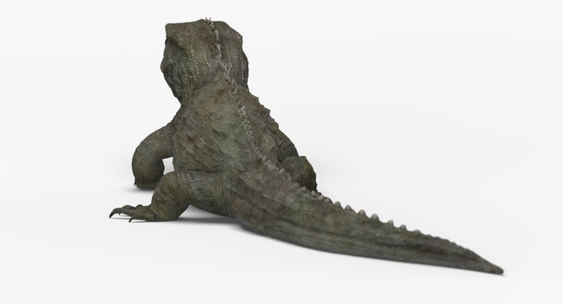 3D model tuatara - TurboSquid 1208405