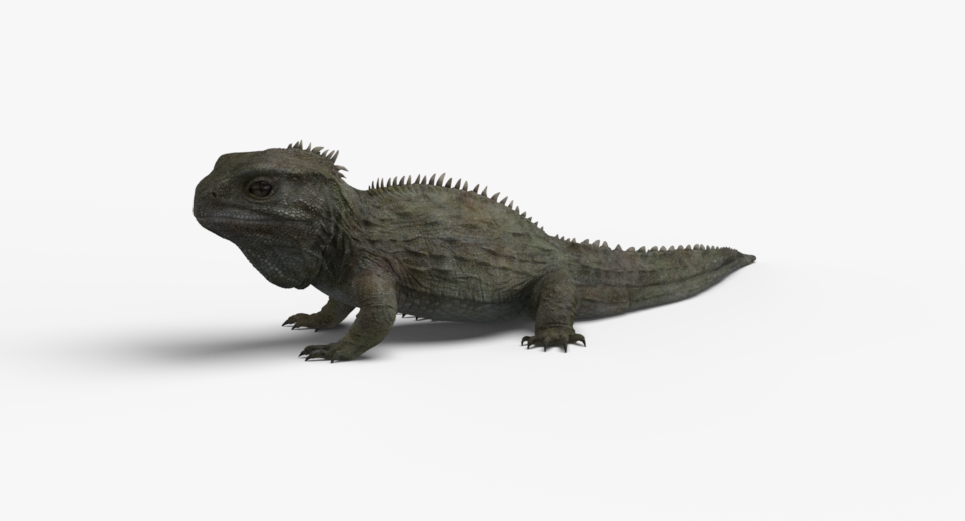 3D model tuatara - TurboSquid 1208405