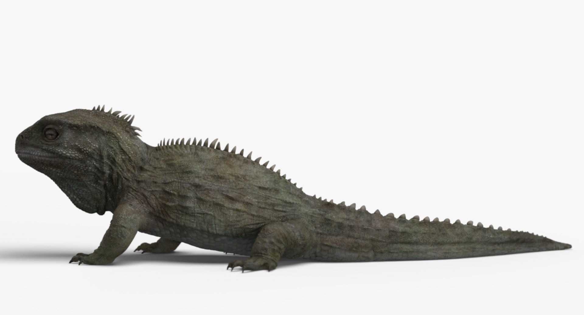 3D model tuatara - TurboSquid 1208405