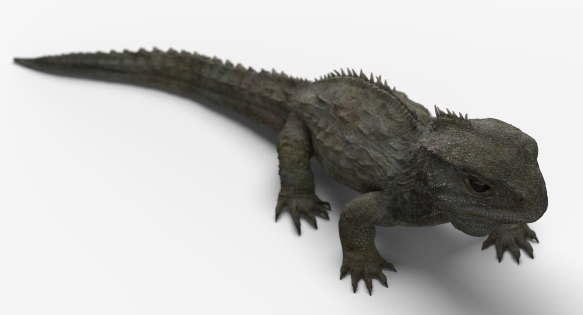 3D model tuatara - TurboSquid 1208405