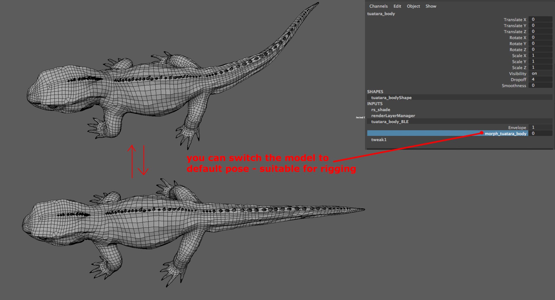3D model tuatara - TurboSquid 1208405