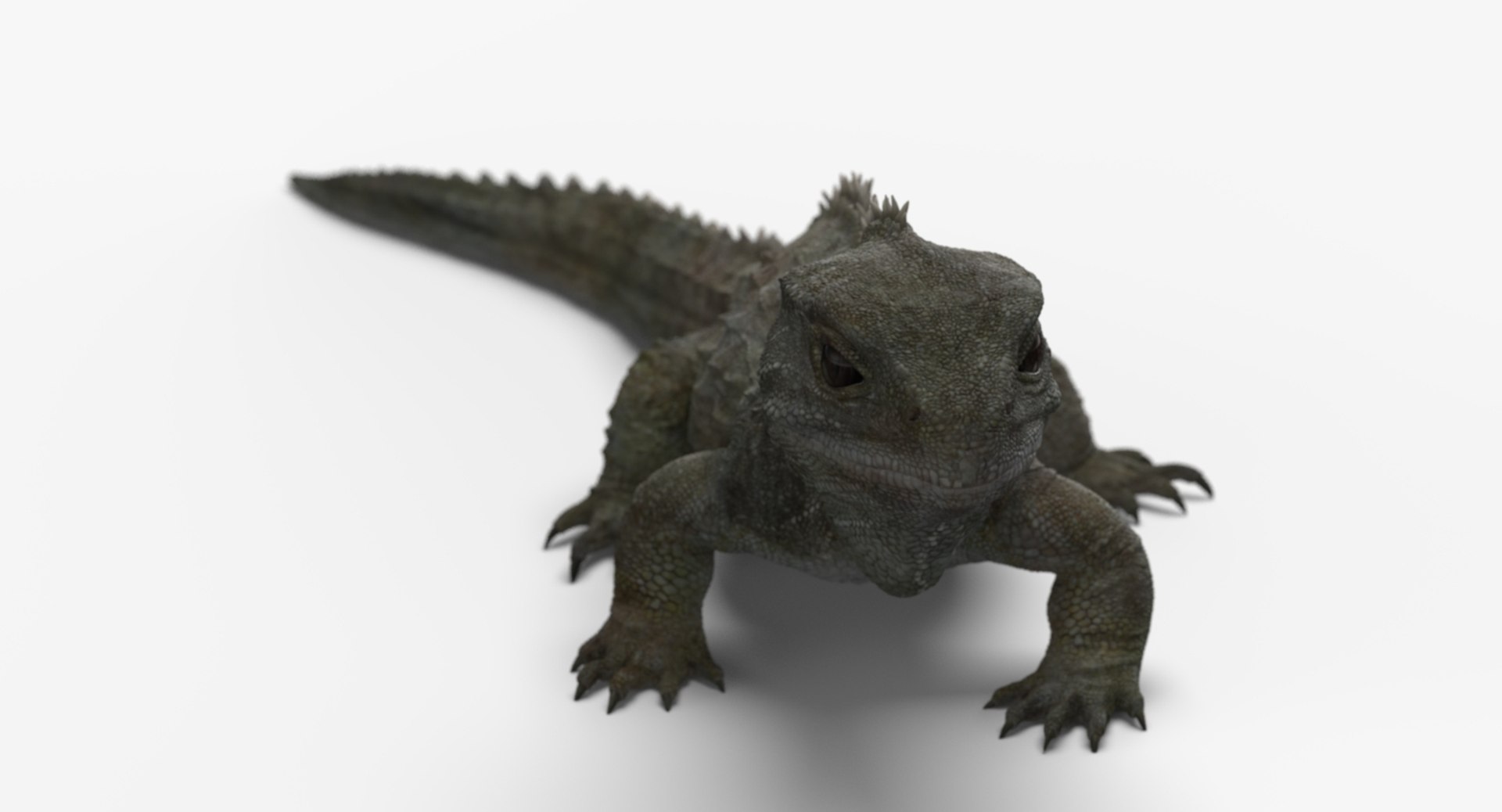 3D model tuatara - TurboSquid 1208405