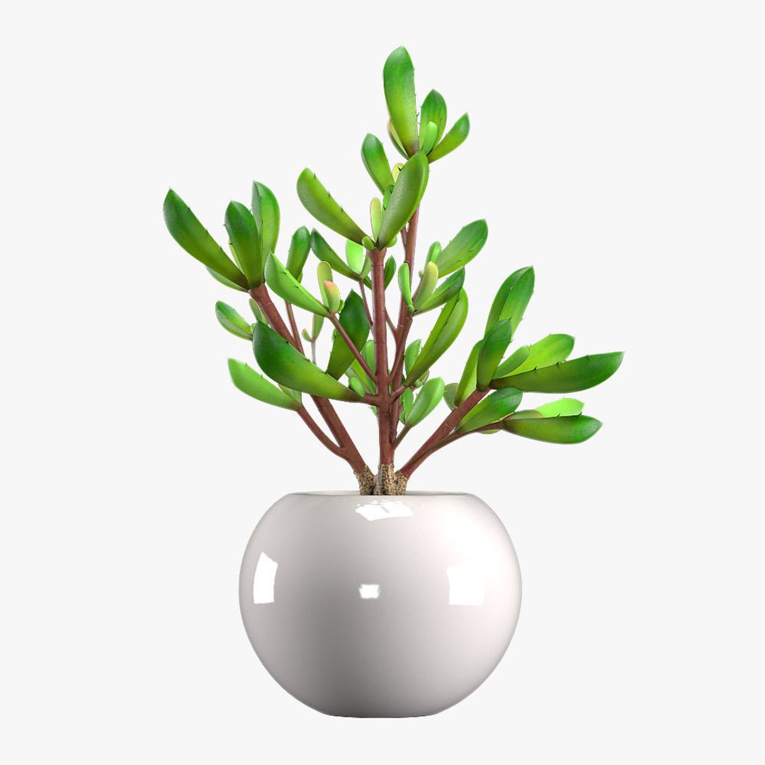Plant Pot Model - TurboSquid 1252505