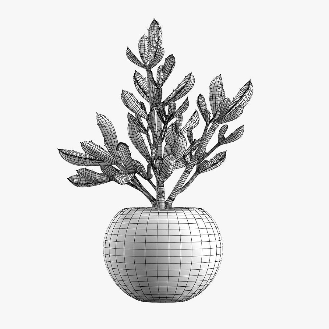 Plant Pot Model - TurboSquid 1252505