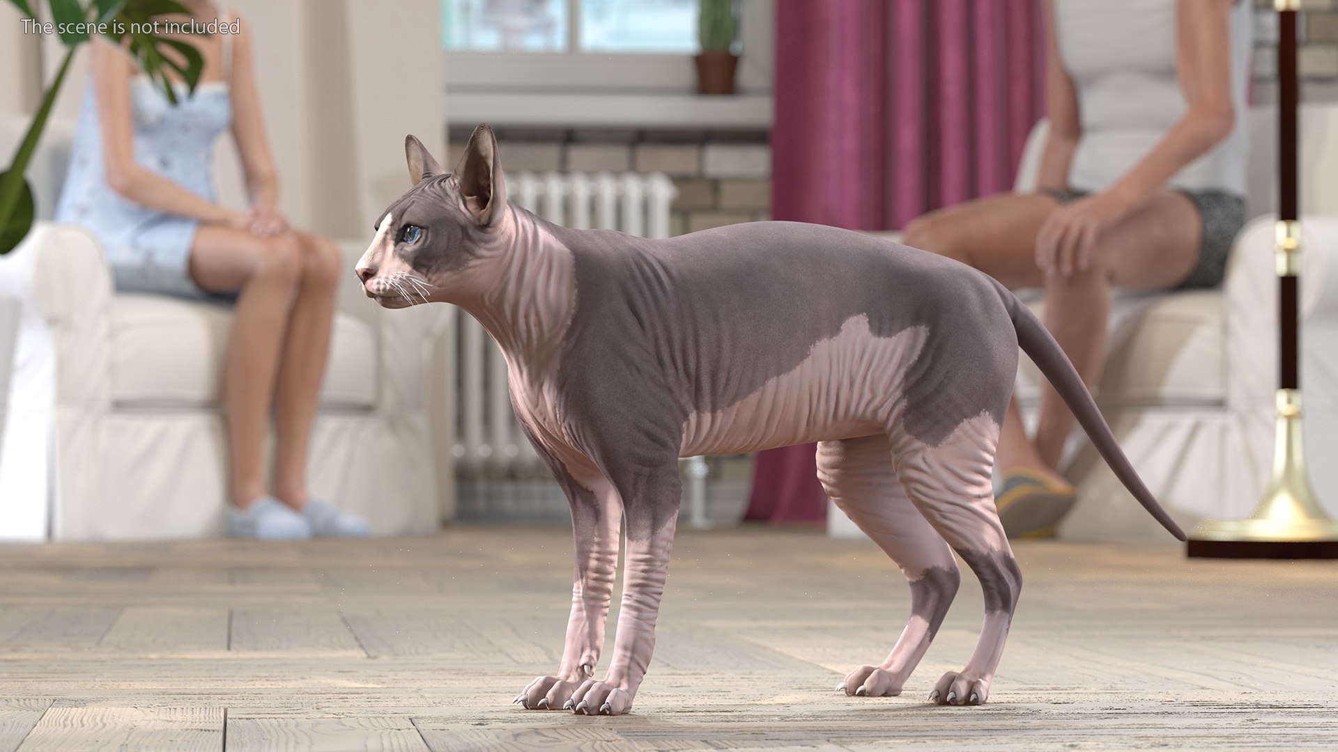 3D Rigged Sphynx Cat with Cat Scratching Post Collection for Modo ...