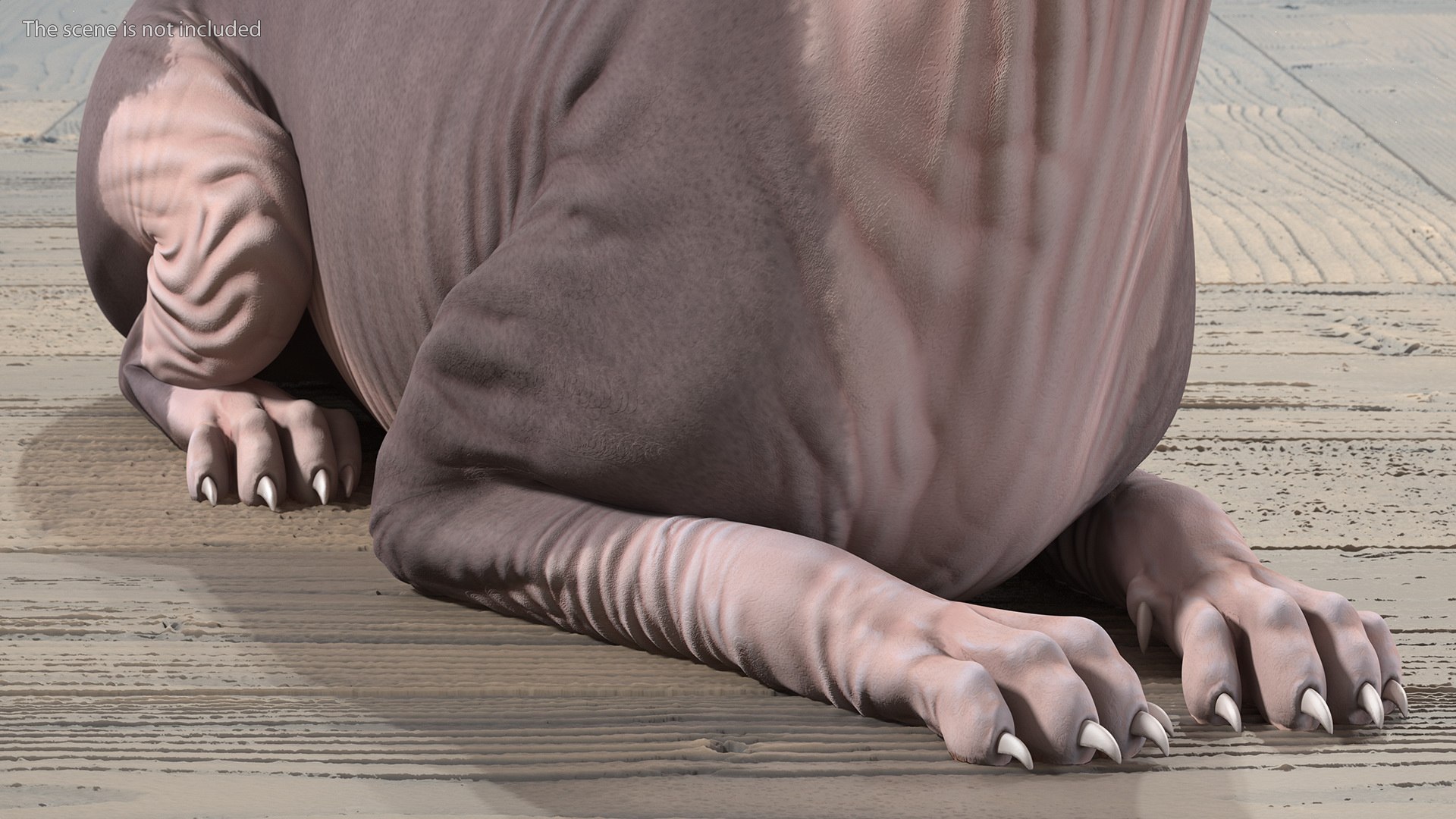 3D Rigged Sphynx Cat with Cat Scratching Post Collection for Modo ...