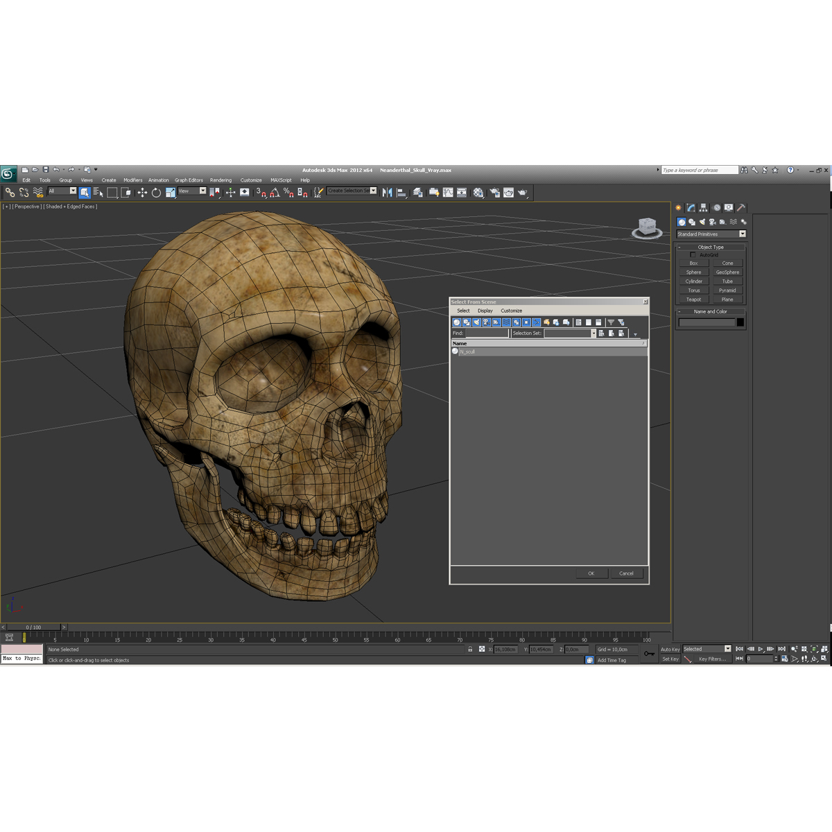max neanderthal skull anatomy