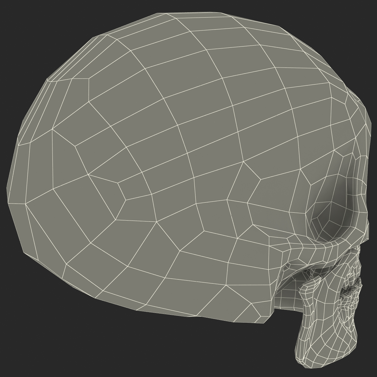 max neanderthal skull anatomy
