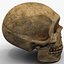 Max Neanderthal Skull Anatomy