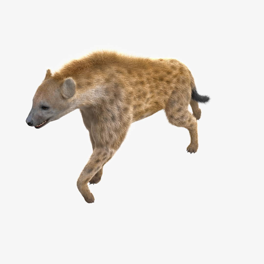 Hyena Pose Fur Max